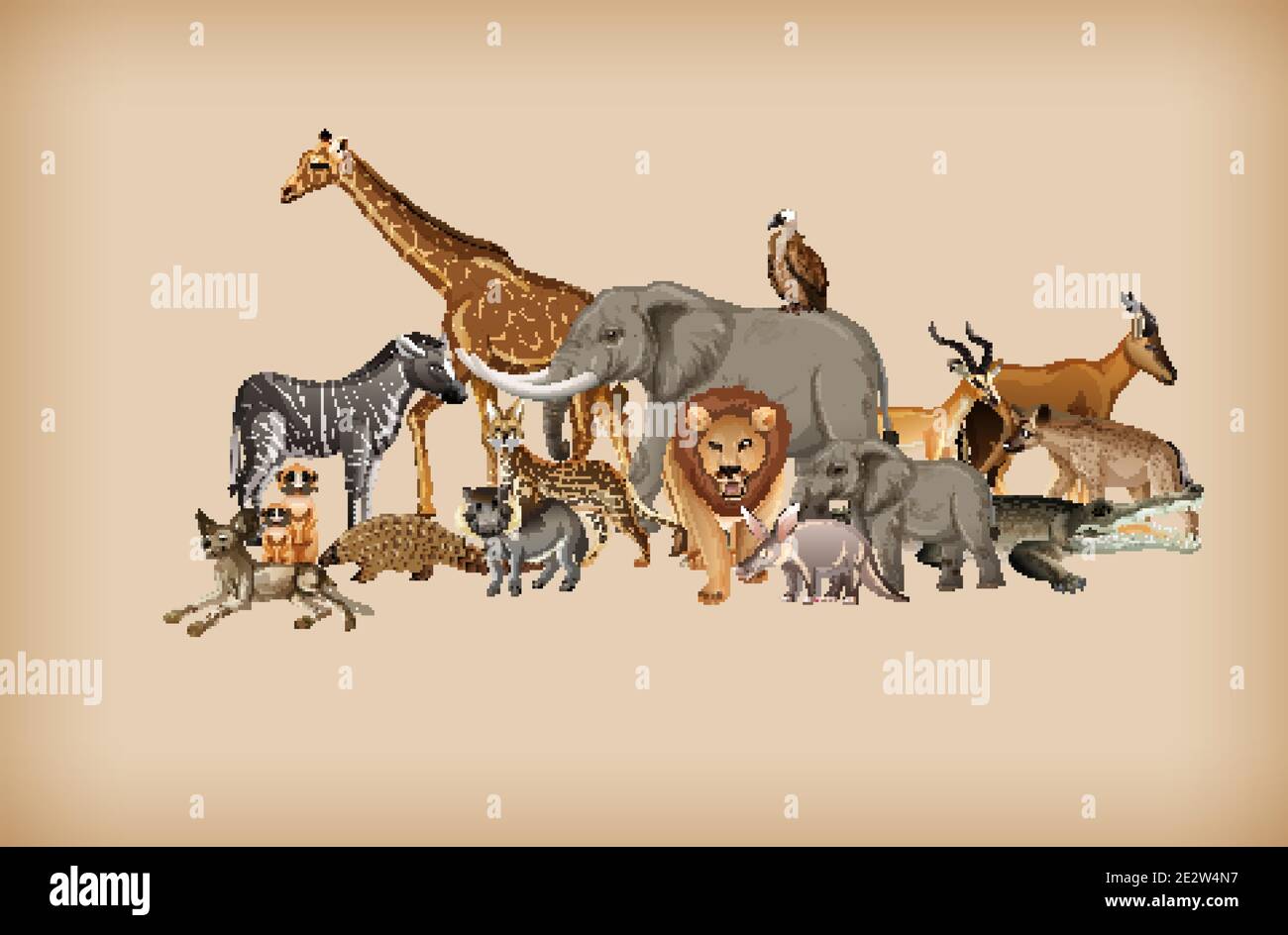 Group of wild animal on background illustration Stock Vector Image ...