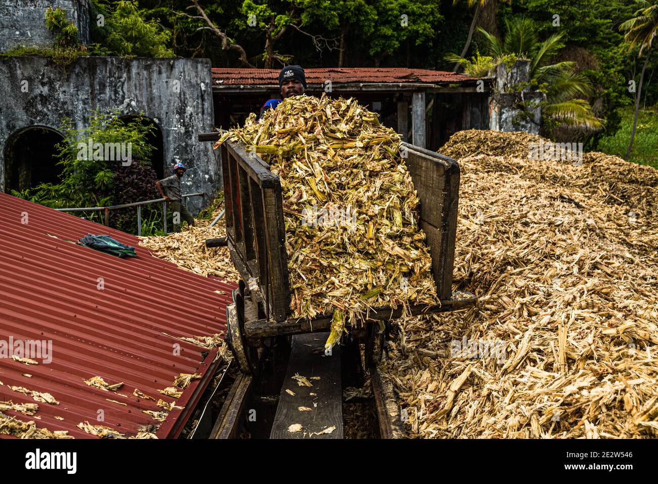 Antoine Rivers Rum Distillery, Saint Patrick, Grenada Stock Photo - Alamy