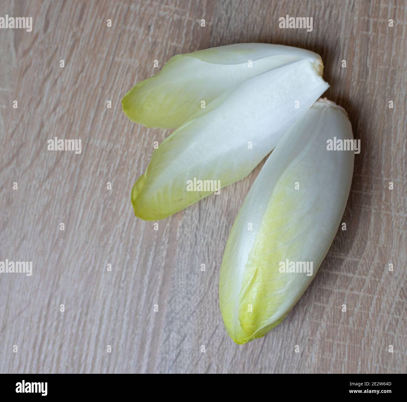 Witloof Chicory High Resolution Stock Photography and Images - Alamy