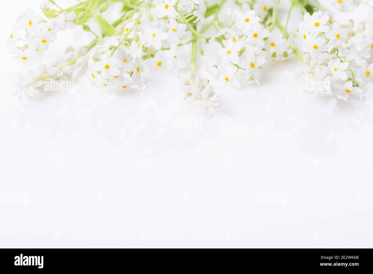 Spring frame of small flowers and forget-me-not, floral arrangement ...