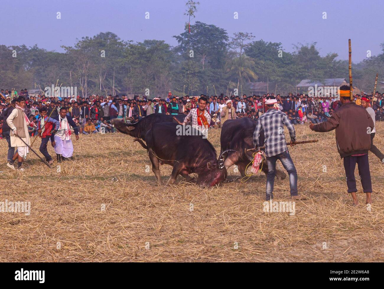 Morigaon, Assam, India. 15th Jan, 2021. The tradition of “Magh Bihu ...