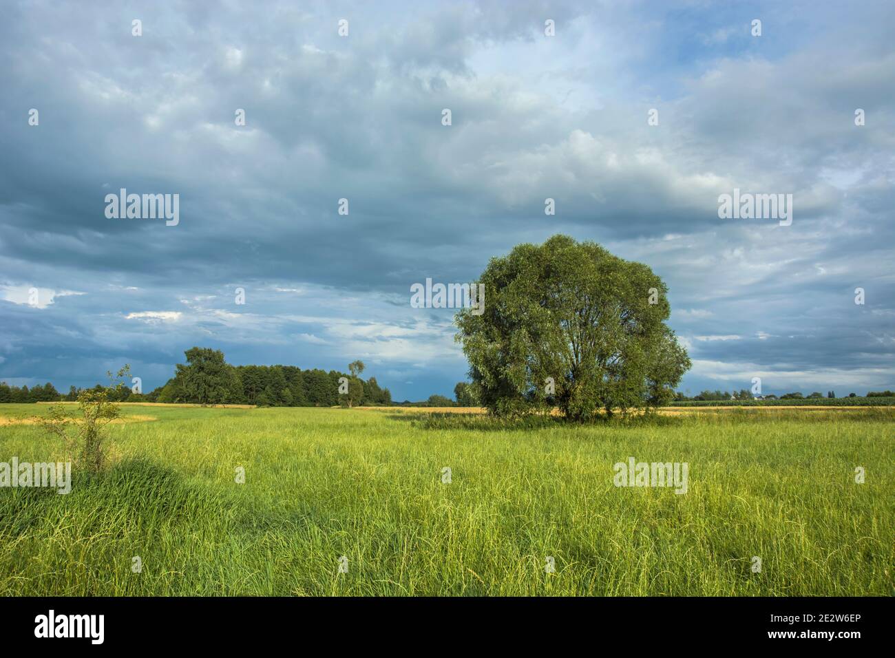 Large cloudscape hi-res stock photography and images - Alamy