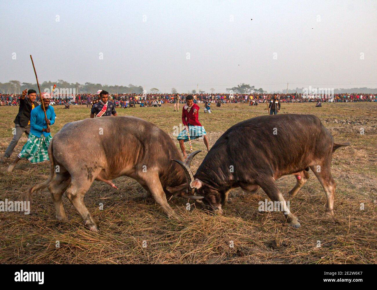 Morigaon, Assam, India. 15th Jan, 2021. The tradition of “Magh Bihu ...