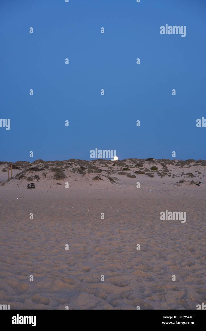 Empty beach at night with moon behind the sand dune in Comporta ...
