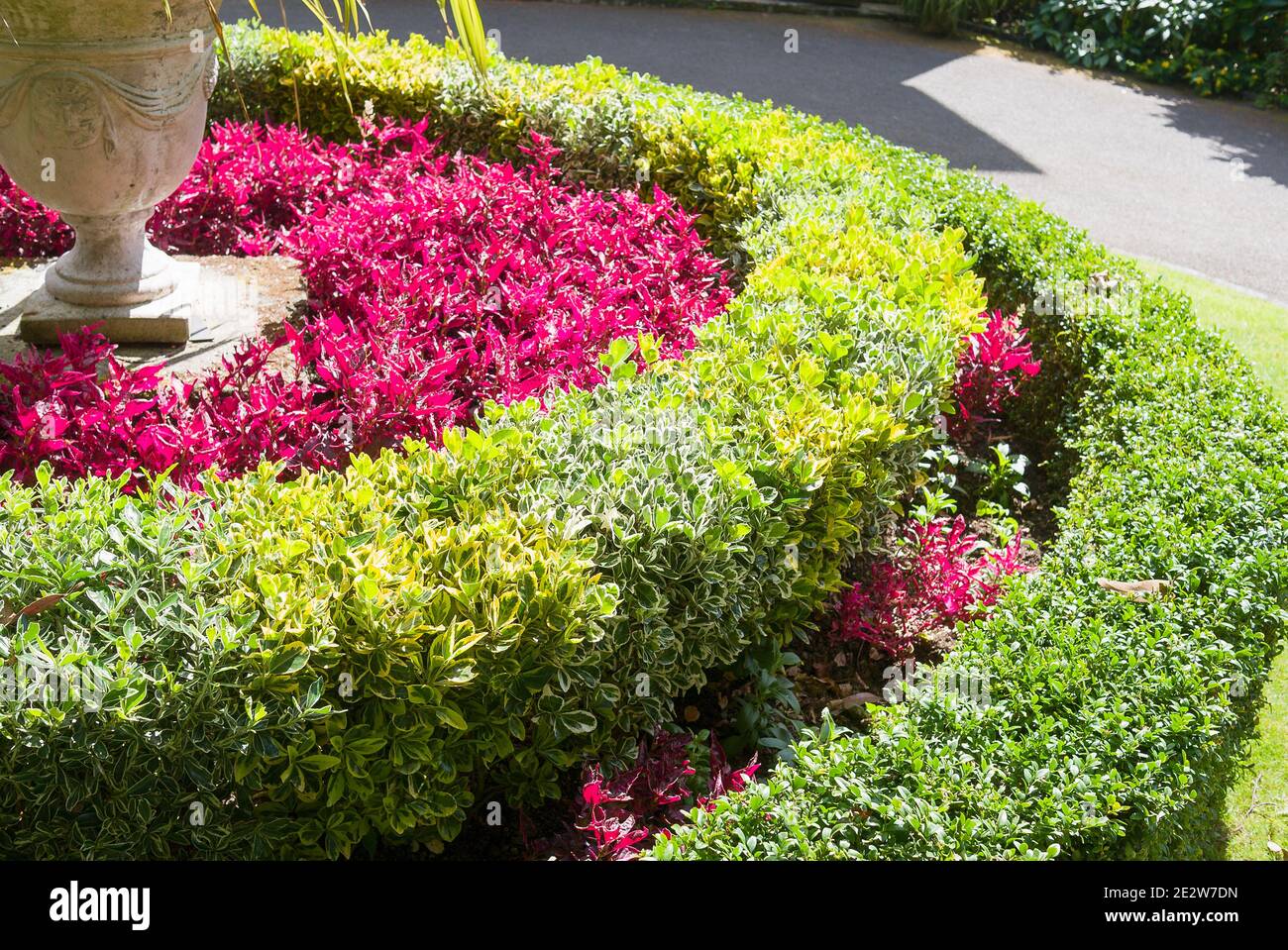 A segment of concentrically planted island flower bed in the centre of ...