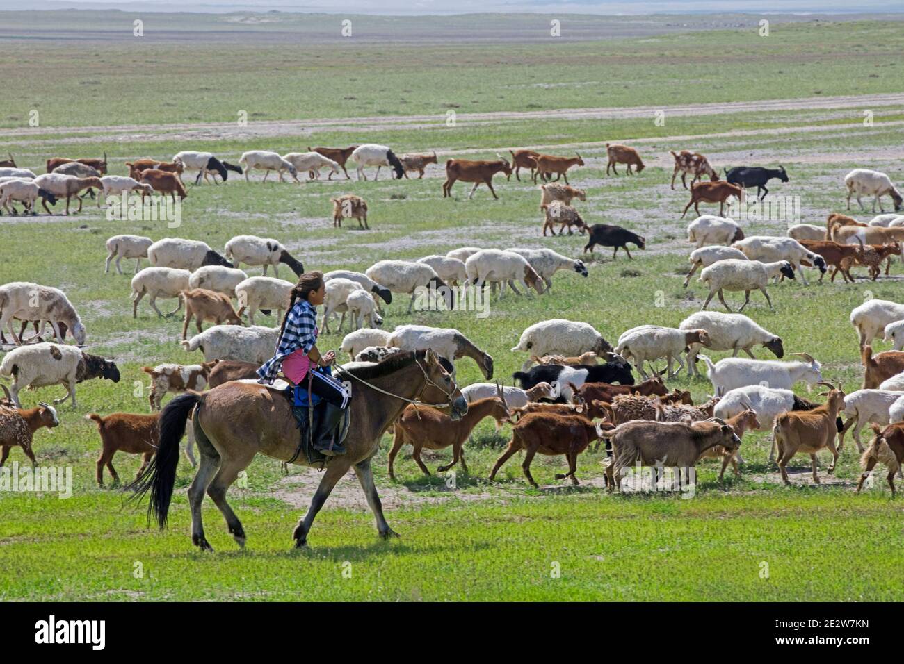 Woman riding goat hi-res stock photography and images - Alamy