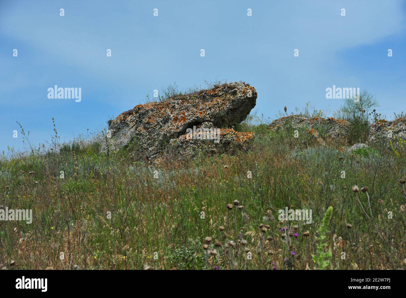 A natural wonder - the stone head of a snake Stock Photo - Alamy