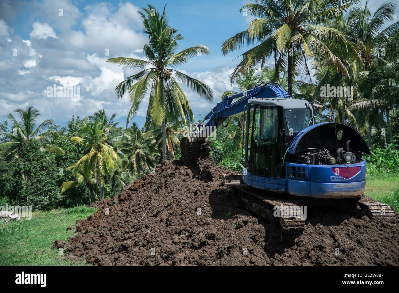 industrial bulldozer excavate ground and soil in tropical rain forest ...