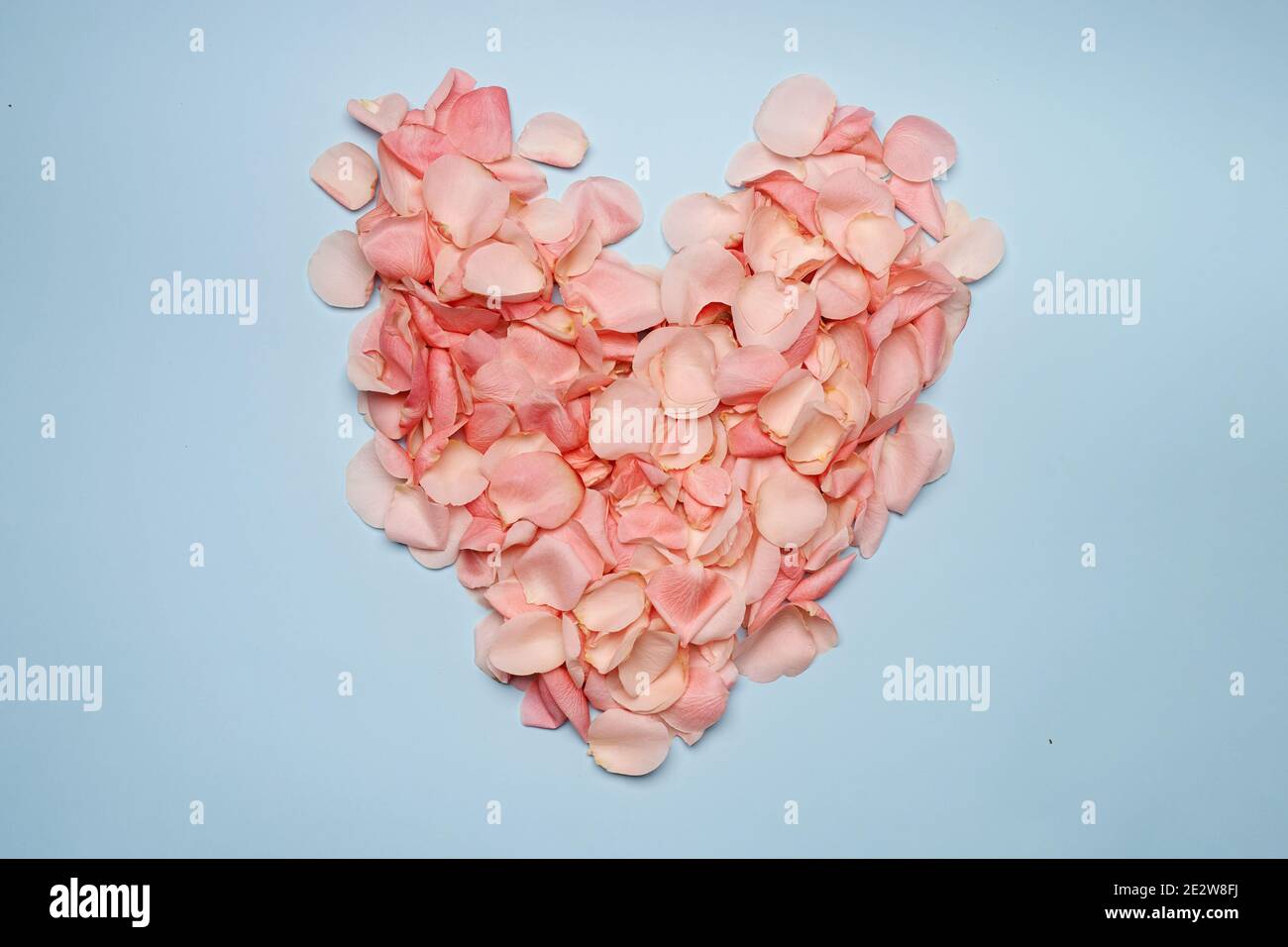 Pink roses heart hi-res stock photography and images - Alamy