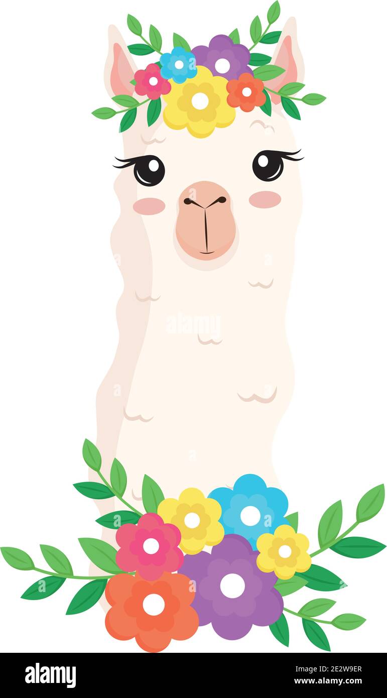 cute alpaca exotic animal with flowers decoration in head and neck ...