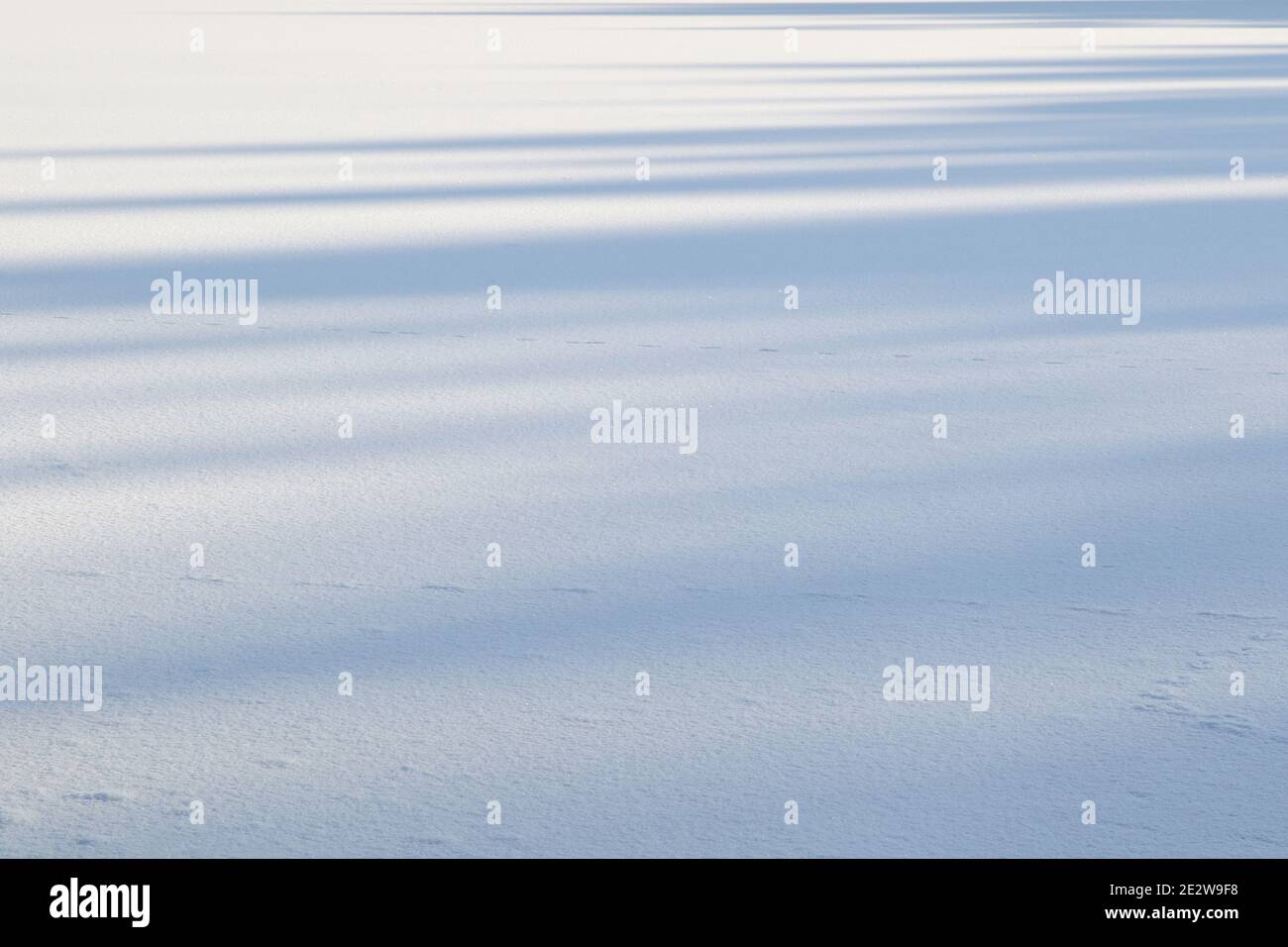 white sunny snow background with blue shadows Stock Photo - Alamy