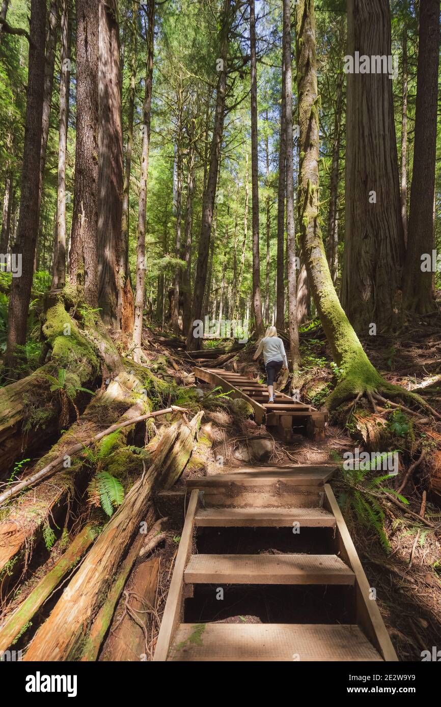 Avatar forest hi-res stock photography and images - Alamy
