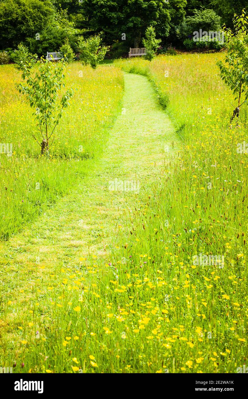 Guided pathway hi-res stock photography and images - Alamy