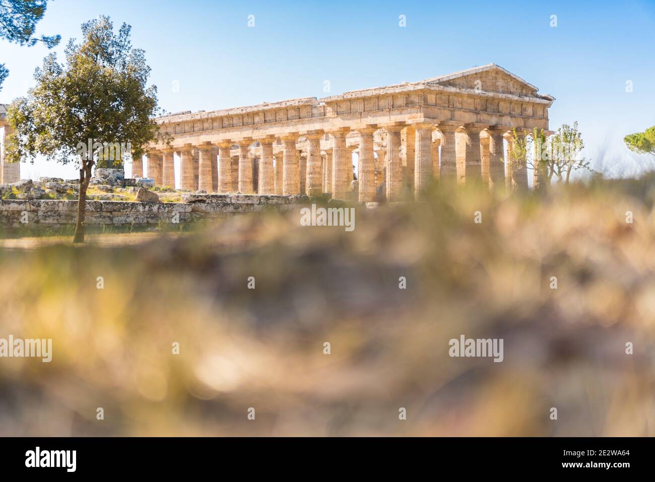 View of the Temple of Hera II at the Greco-Roman archaeological site of ...