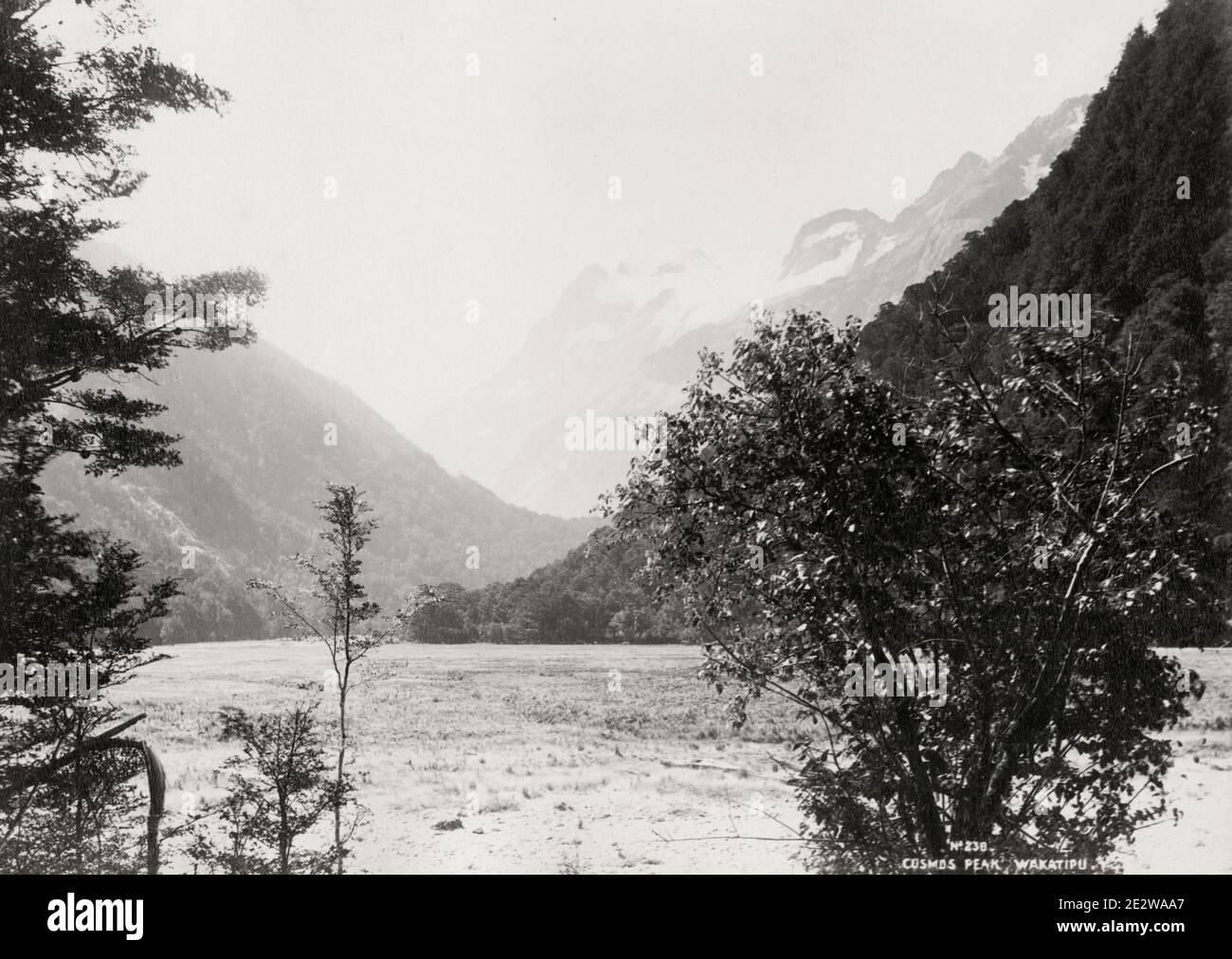 Vintage 19th century photograph: New Zealand - Cosmos Peak, Wakatipu ...
