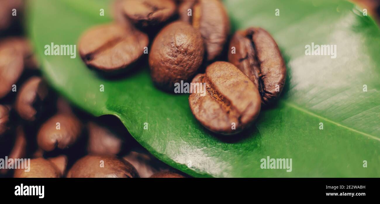 Coffee beans roasted close-up. Drink. Selective focus. Food Stock Photo ...