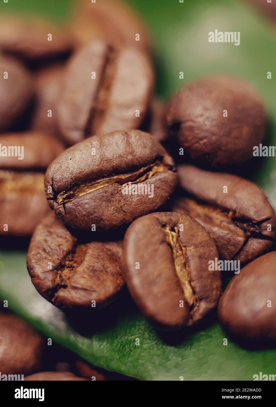 Coffee beans roasted close-up. Drink. Selective focus. Food Stock Photo ...