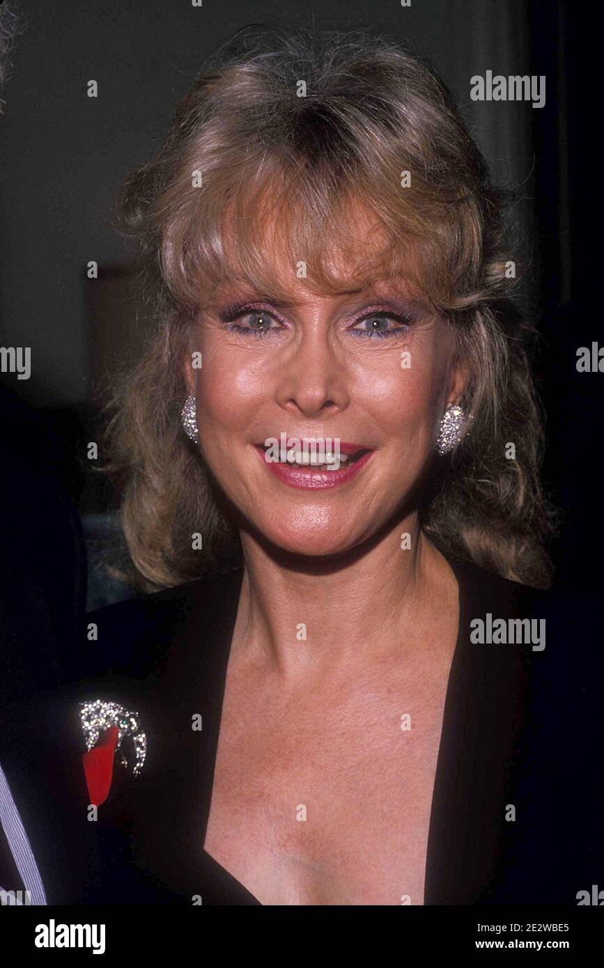 Barbara Eden 1988 Credit: Ralph Dominguez/MediaPunch Stock Photo - Alamy