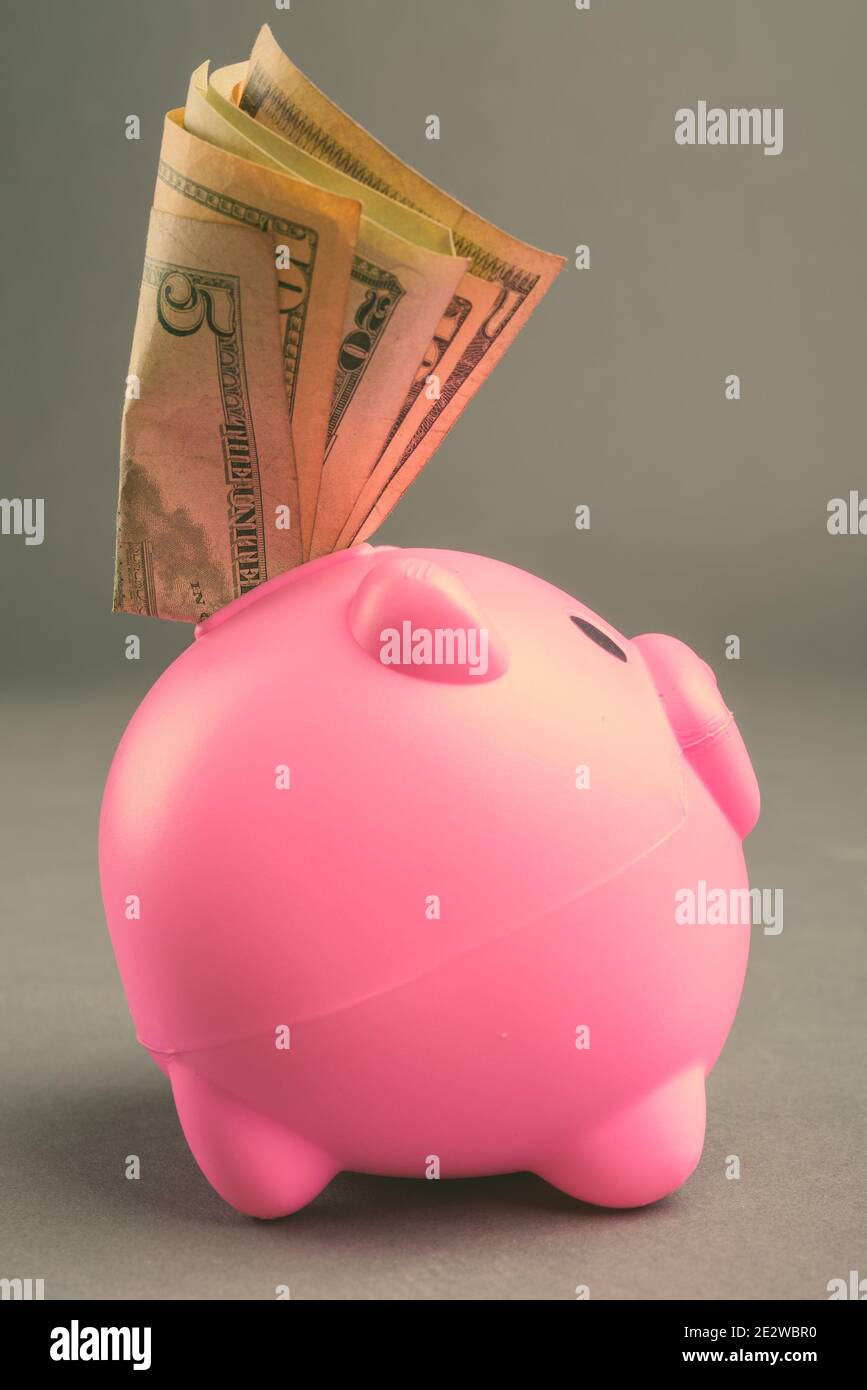 Side View Of Piggy Bank With Dollars Stock Photo - Alamy