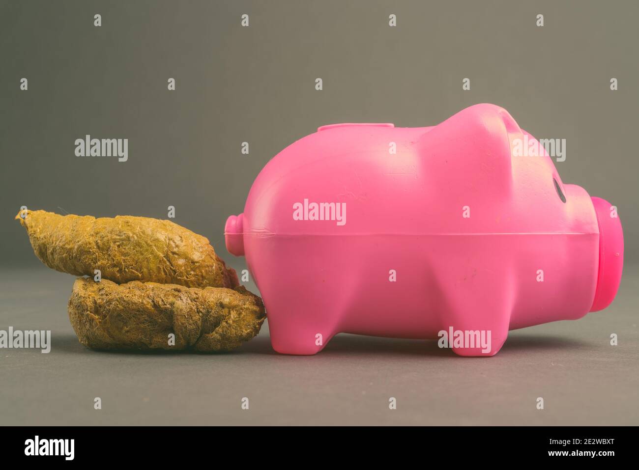 Side View Of Piggy Bank Defecating Animal Poop Stock Photo - Alamy