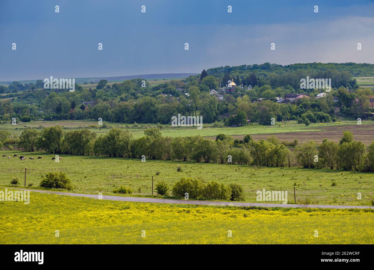 Road through spring rapeseed yellow blooming fields view, blue sky with ...