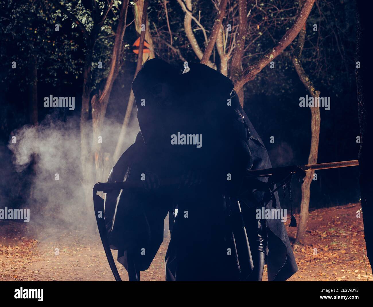 Grim Reaper standing in the fog at night with his scythe Stock Photo ...