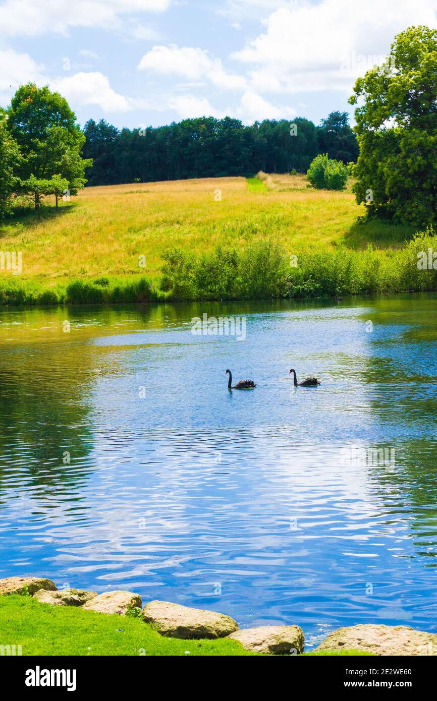 Leeds castle kent couple hi-res stock photography and images - Alamy