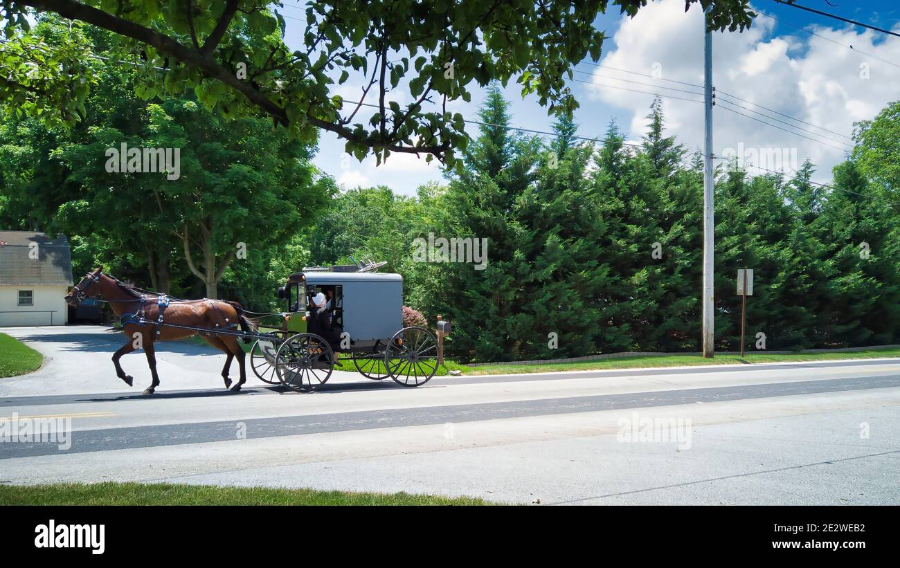 An Amish Horse and Buggy Full with Amish People Traveling along a ...