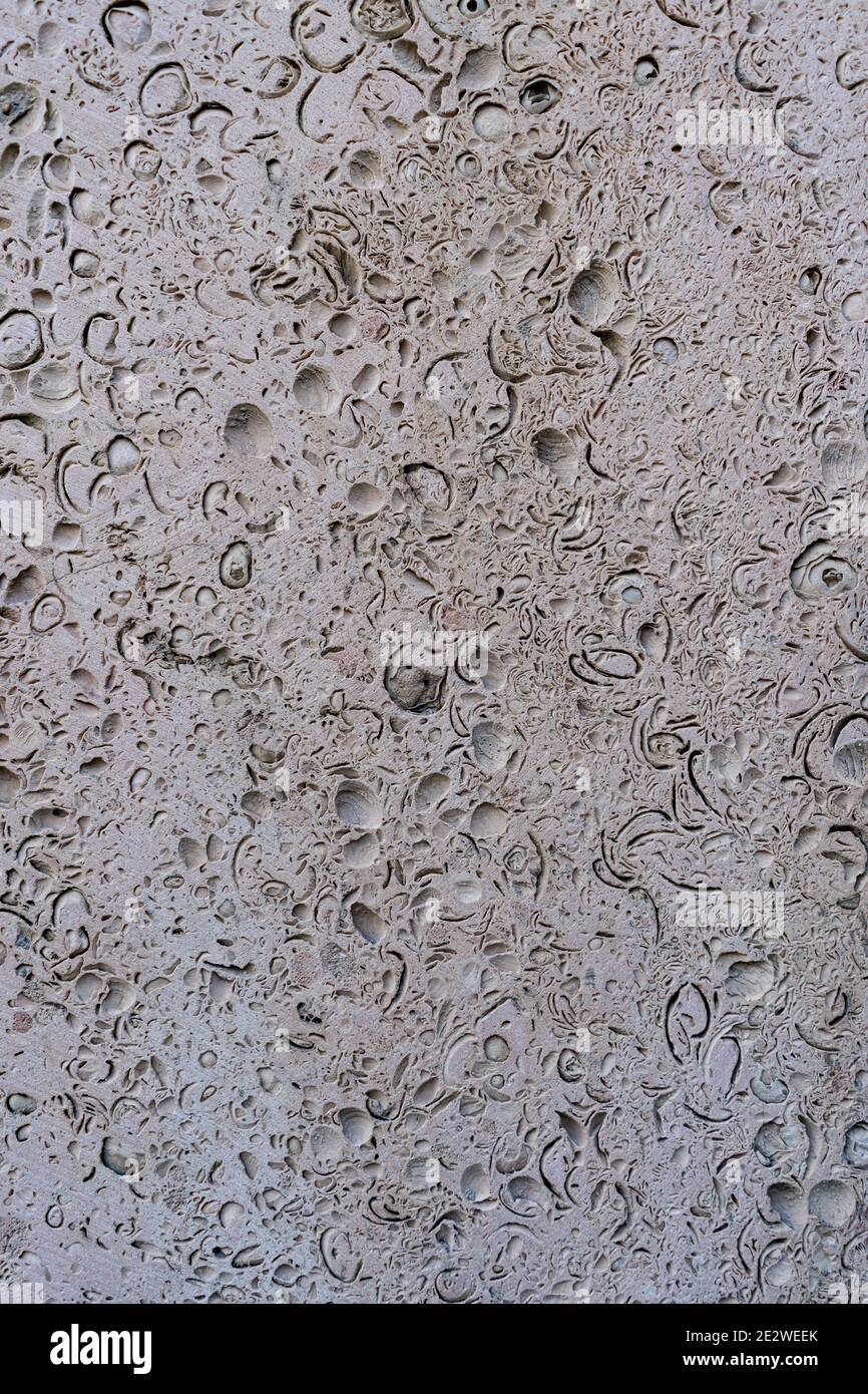 Sea stone. Mineral stone and erosion texture. Round shape damage ...