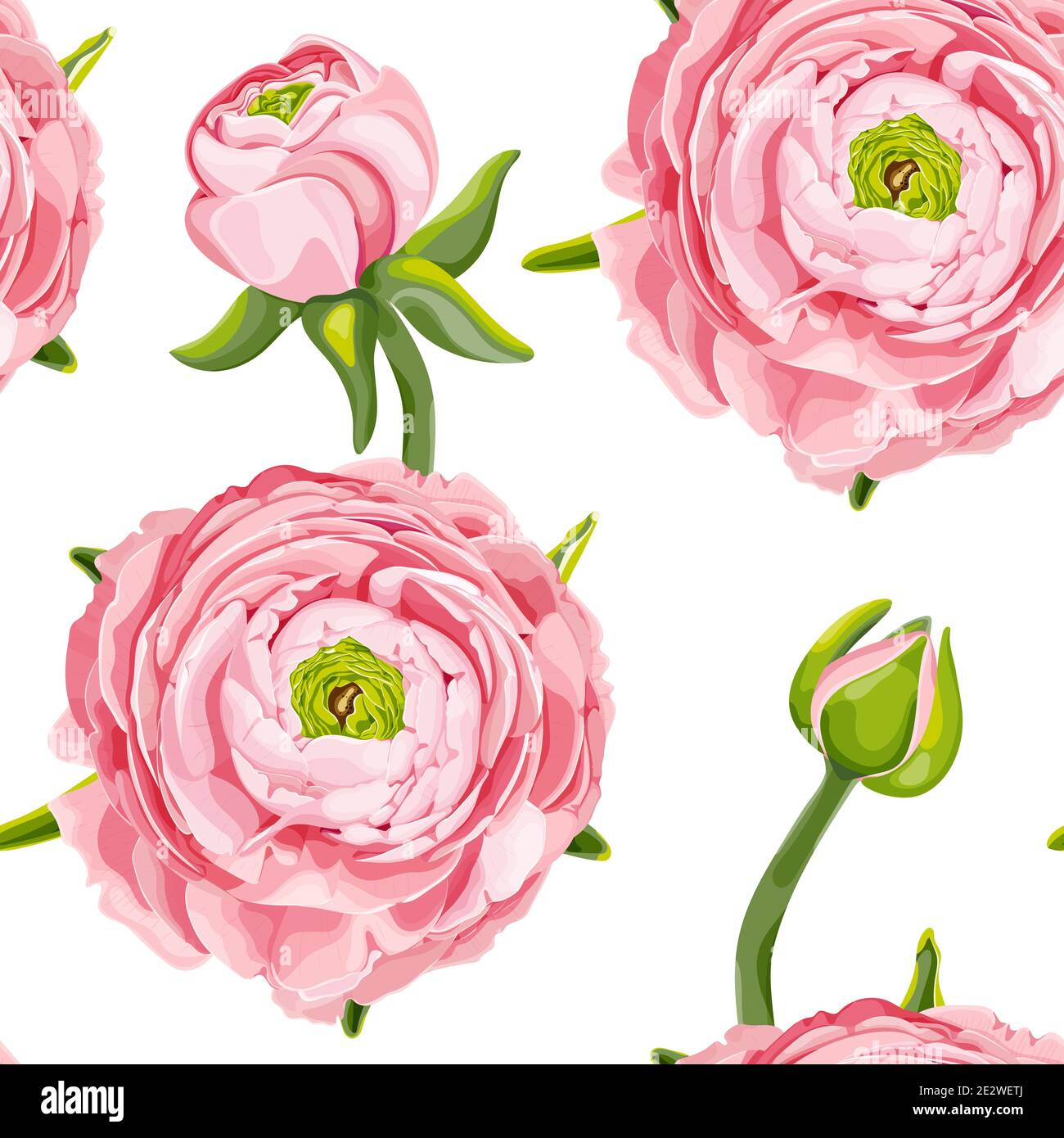 Ranunculus or buttercup. Seamless floral pattern with pink flowers and ...