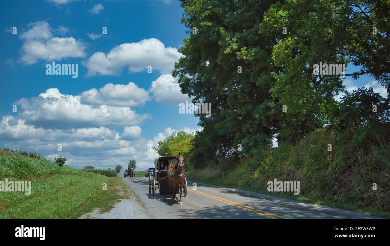 An Amish Horse and Buggy Being Followed by a Horse and Open Buggy on a ...