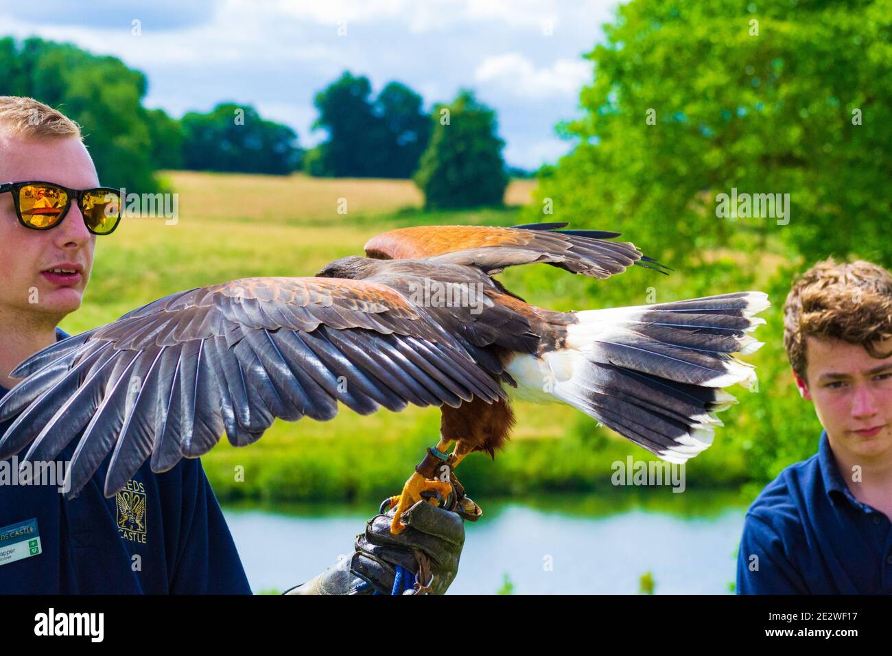Leeds Castle's Bird of Prey Centre houses birds from a variety of ...