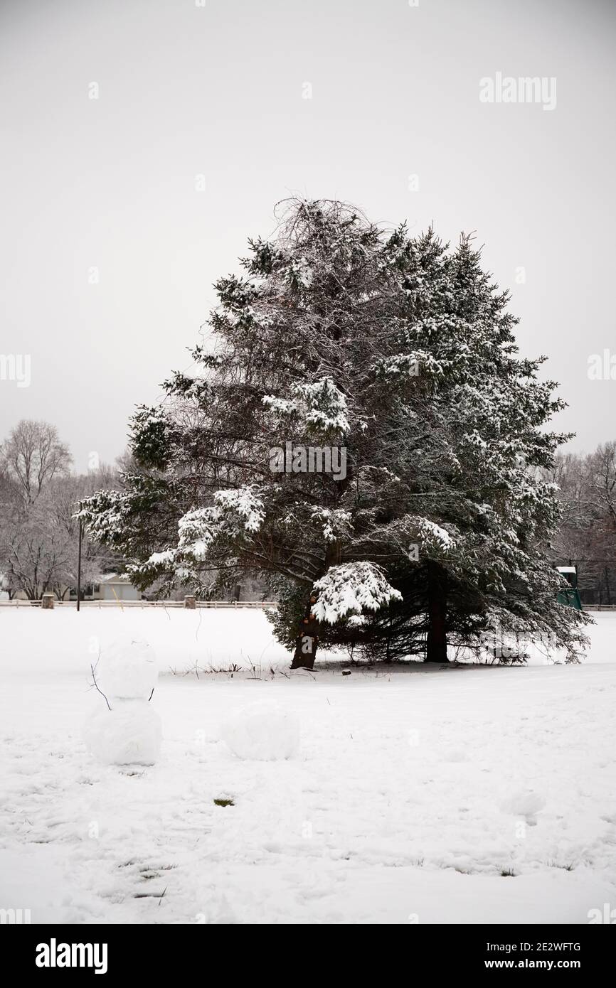 The winter landscape of Ada Park in Grand Rapids, Michigan Stock Photo ...