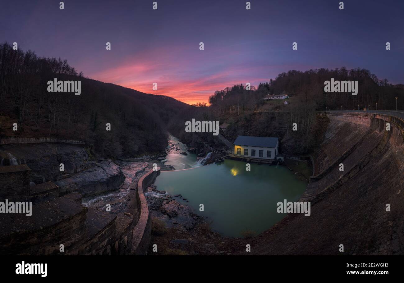 Jungle irati hi-res stock photography and images - Alamy