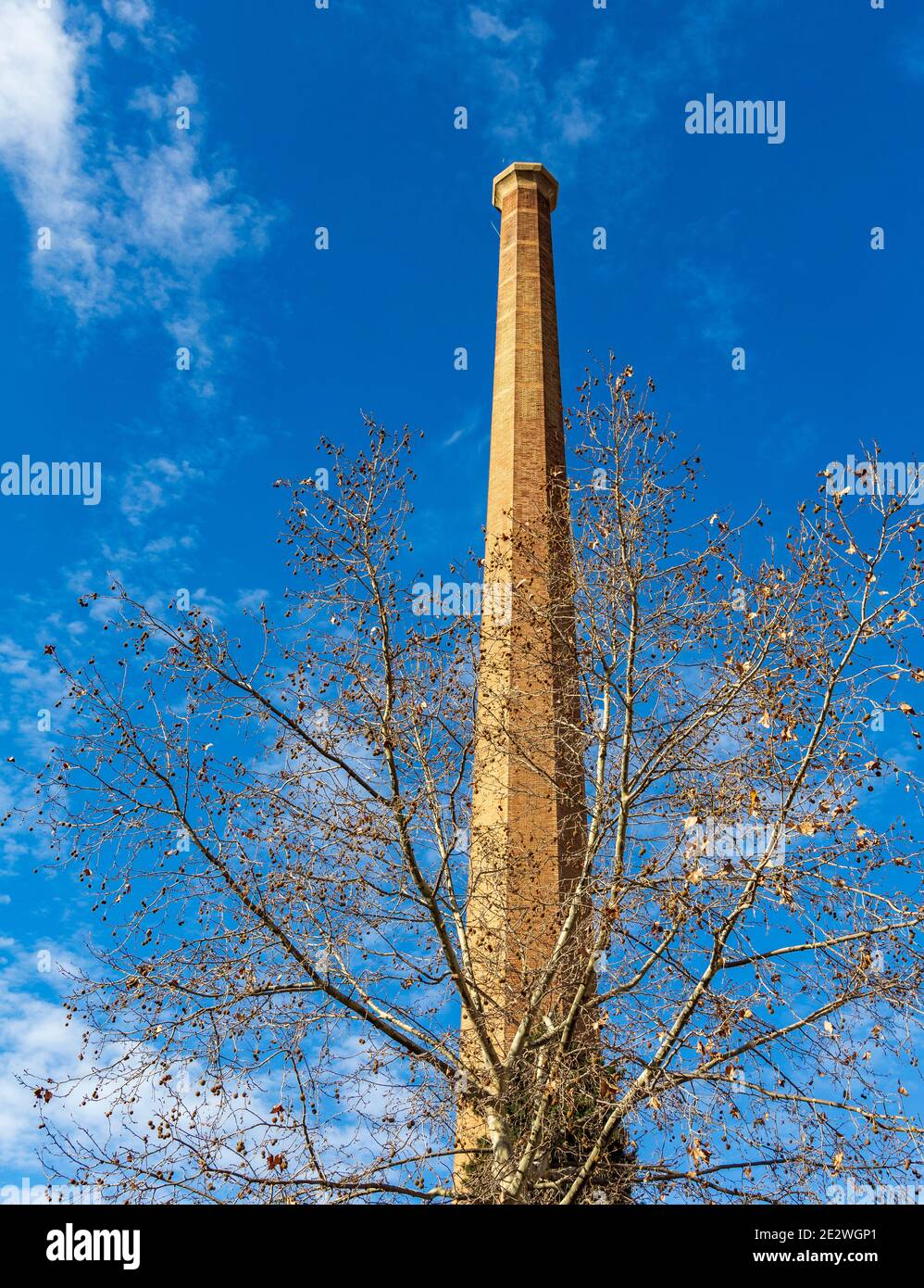 Old chimney surrounded by trees Stock Photo - Alamy