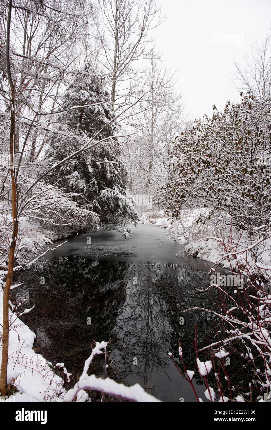 The winter landscape of Ada Park in Grand Rapids, Michigan Stock Photo ...