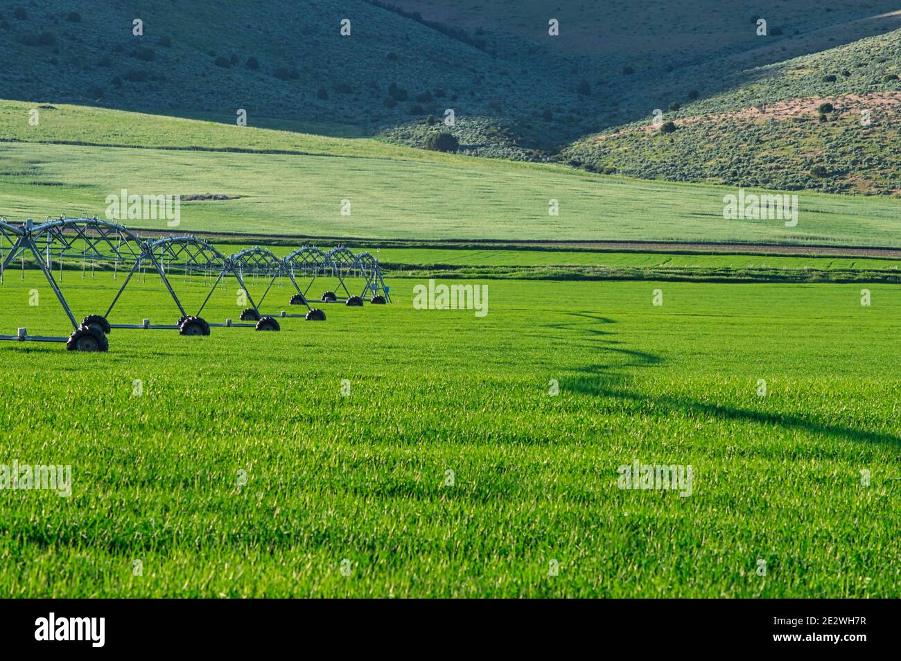 Scenery with metal sprinkling machines on a green field Stock Photo - Alamy