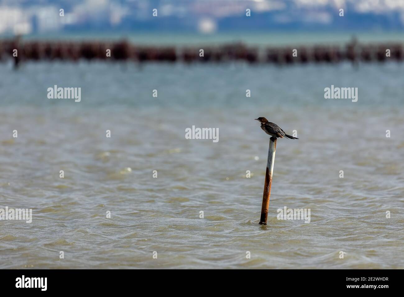 Kalochori lagoon hi-res stock photography and images - Alamy