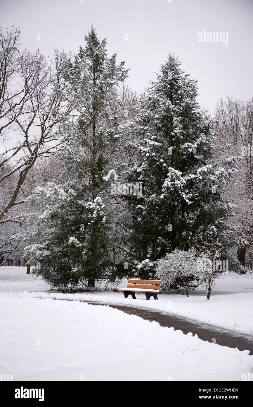 The winter landscape of Ada Park in Grand Rapids, Michigan Stock Photo ...