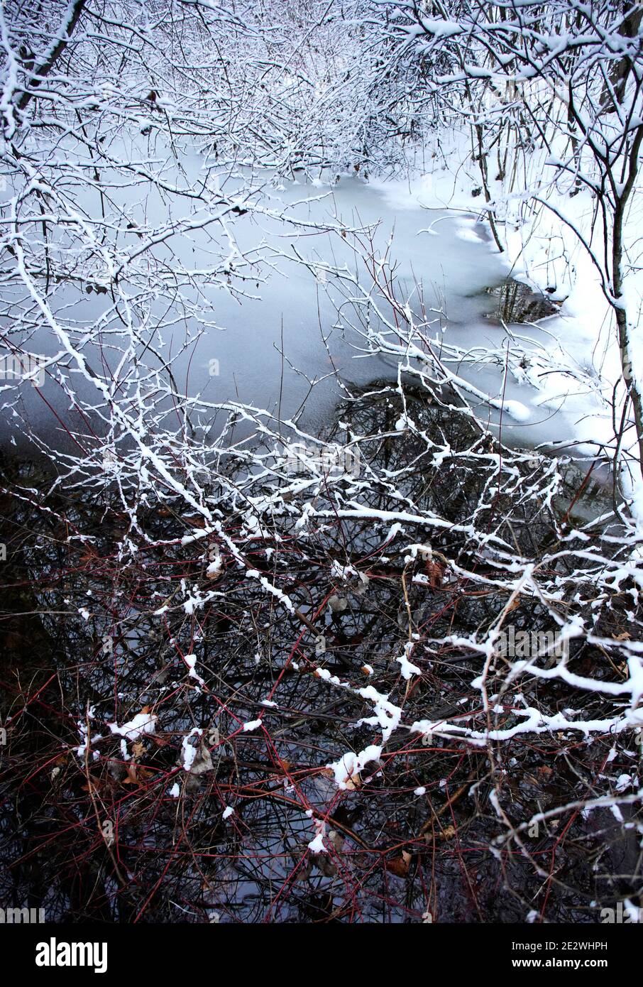 The winter landscape of Ada Park in Grand Rapids, Michigan Stock Photo ...