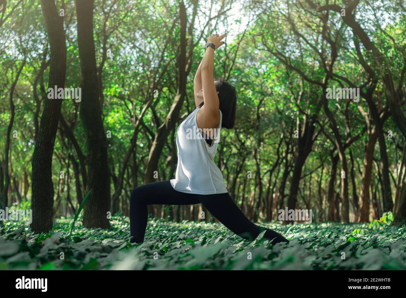 Healthy lifestyle for women practicing meditation and yoga in forest ...