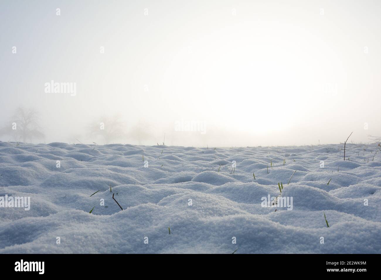 Land without plants hi-res stock photography and images - Alamy