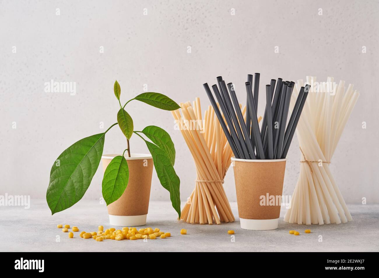 Drinking tubes made of paper and cornstarch, biodegradable material and ...