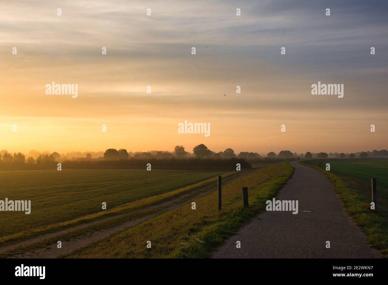 famous dutch cycling path early in the morning at sunrise Stock Photo ...