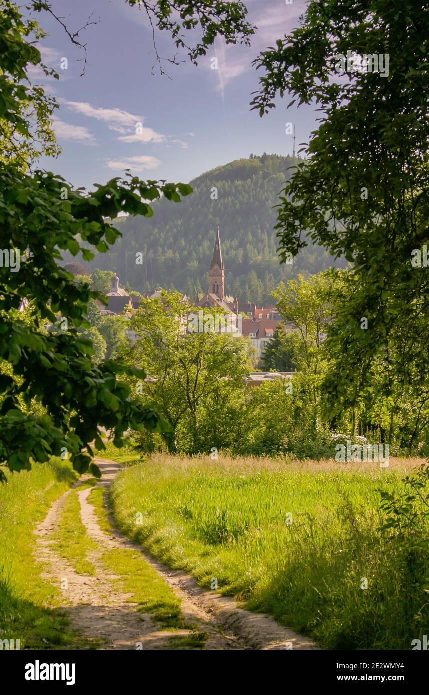 Meadow landscape with small town in south Germany Stock Photo - Alamy