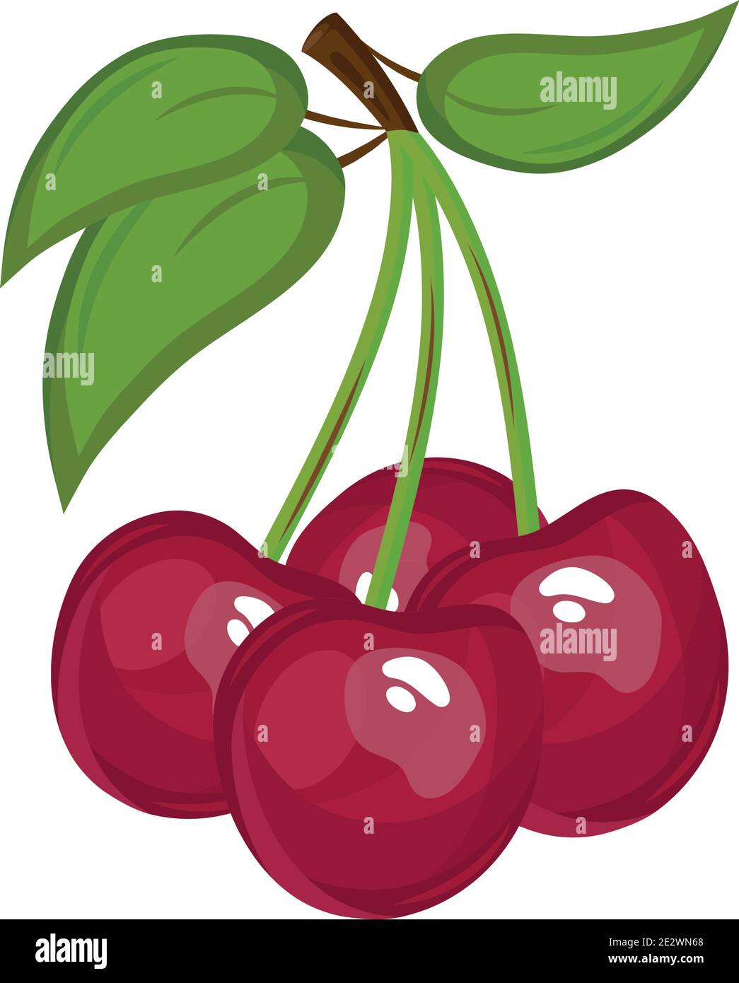 cherries delicious fresh fruit nature icon Stock Vector Image & Art - Alamy