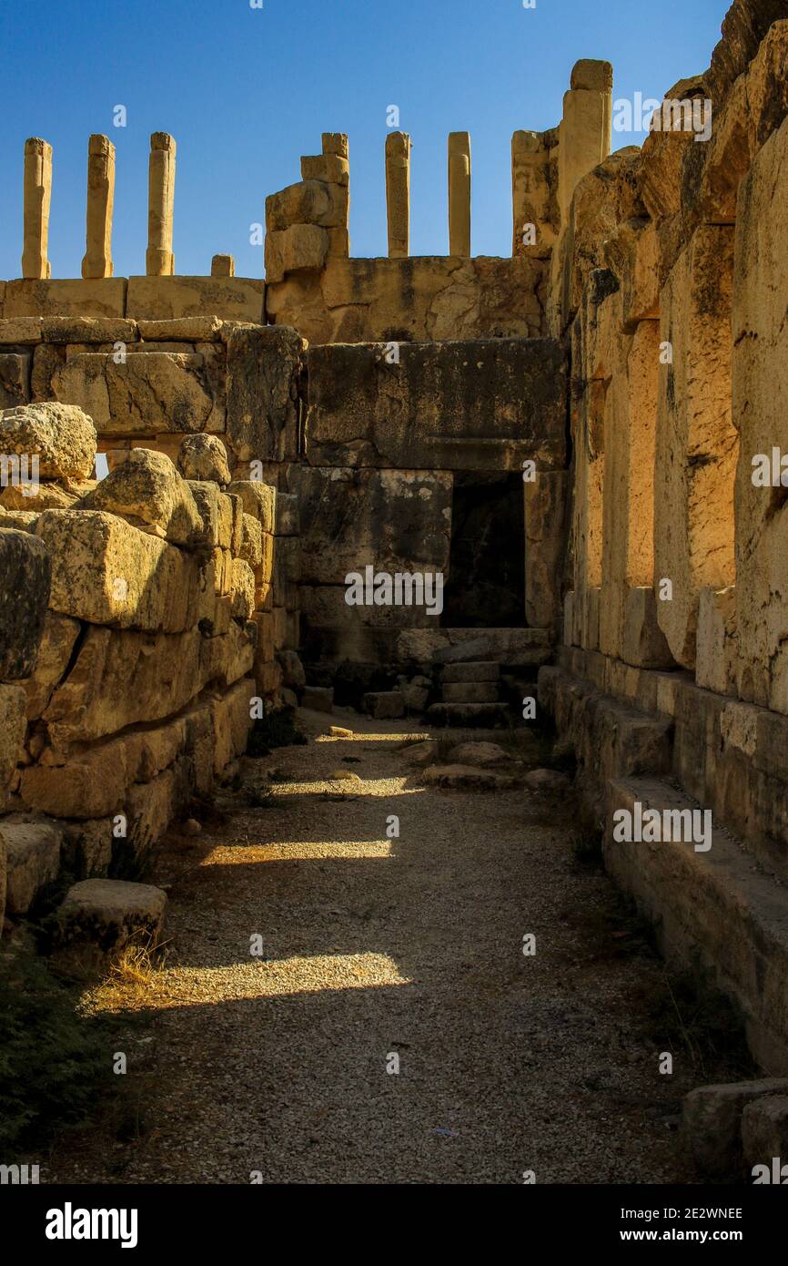 Imar hi-res stock photography and images - Alamy