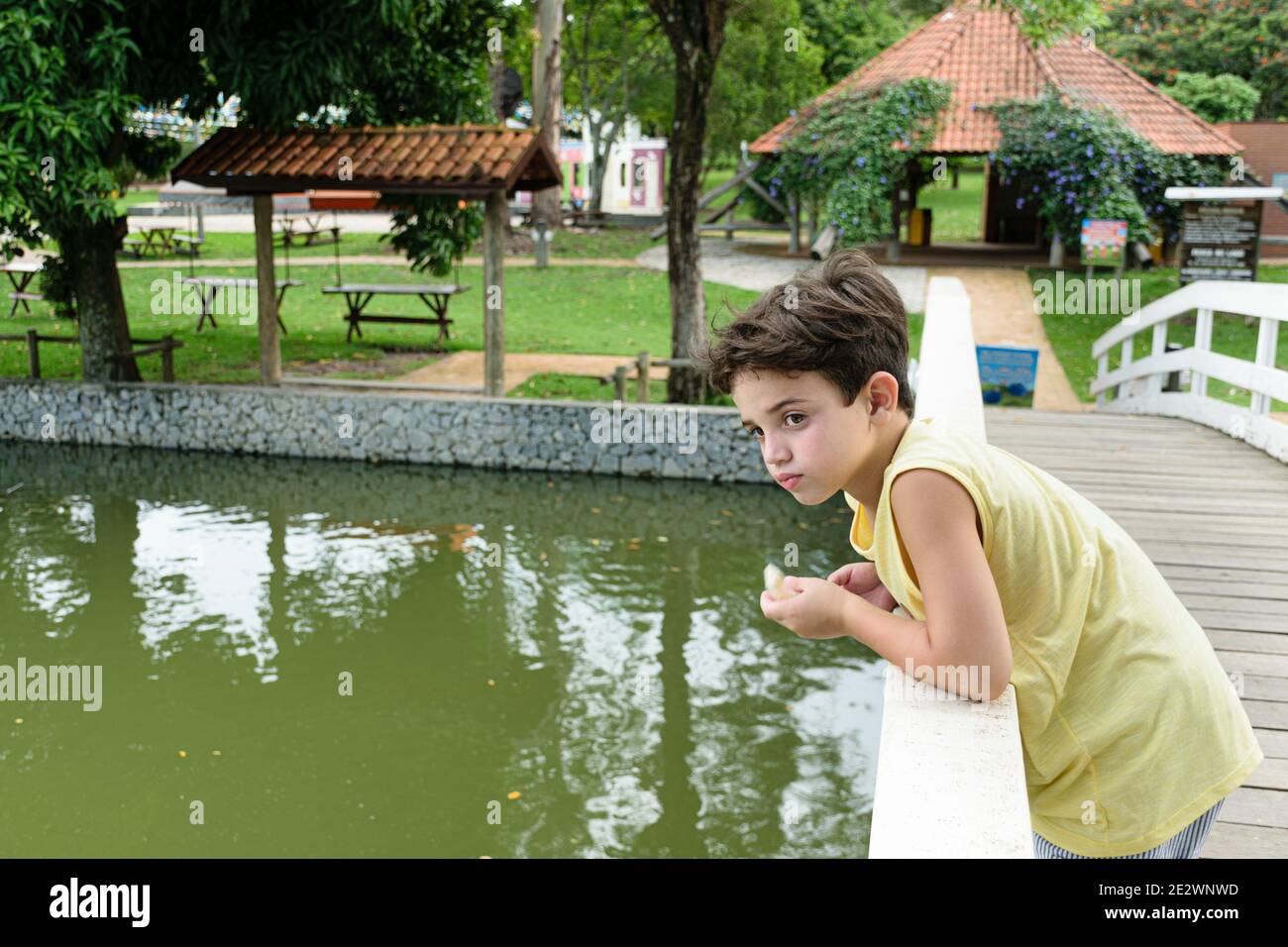 7 year old child supported on the railing of a small bridge over the ...