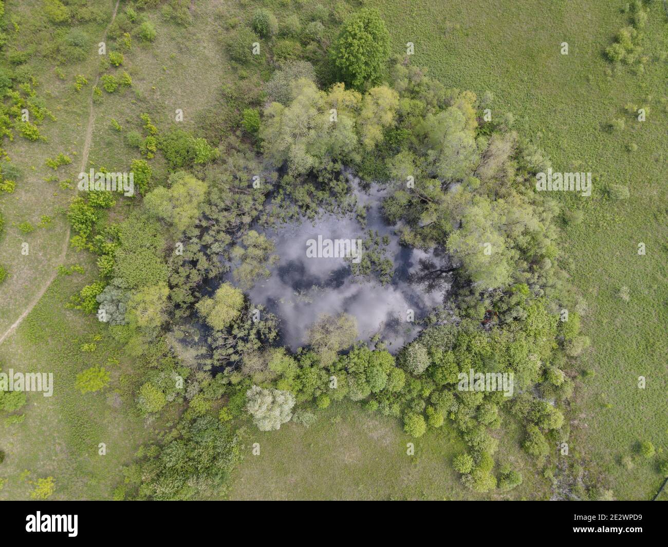 Aerial shot colourful forest hi-res stock photography and images - Alamy