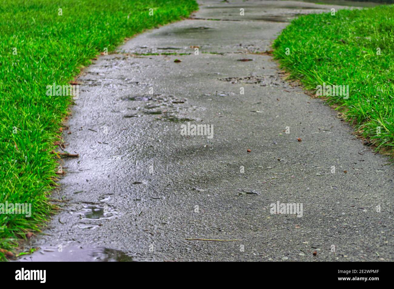 Closeup shot narrow path hi-res stock photography and images - Alamy